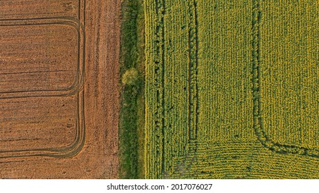6,948 Balk background 图片、库存照片和矢量图 | Shutterstock
