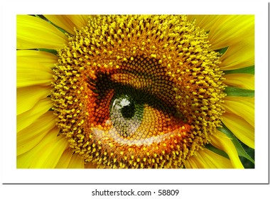 Stock Photo and Image Portfolio by Jeff Davies | Shutterstock