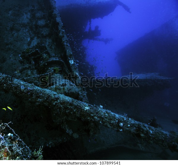 Sunken Shipwreck Eagle Florida Keys Ship Foto Stok 107899541 | Shutterstock