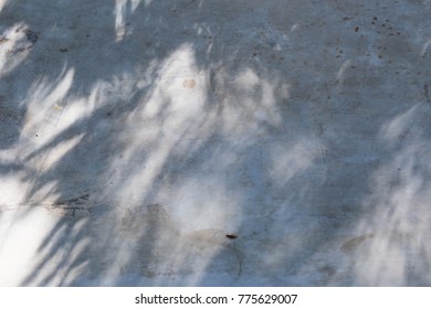 Sunlight Texture Background Stock Photo 775629007 | Shutterstock