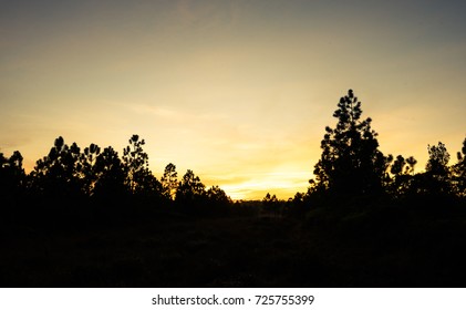 Amazing Rays Light Coming Through Trees Stock Photo 169534343 ...