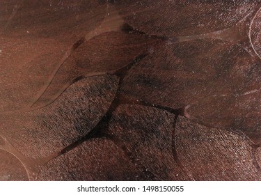 231 Sun mica texture Images, Stock Photos & Vectors | Shutterstock