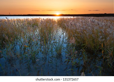28,813 Marsh sunset Images, Stock Photos & Vectors | Shutterstock