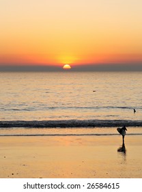Spectacular Sea Sunset Beach Naturist Camping Stock Photo (Edit Now) 682939