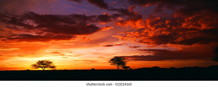 24,837 Savannah landscape sunset Images, Stock Photos & Vectors ...