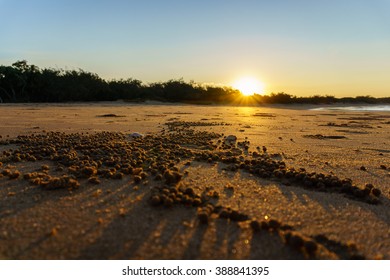 1,458 Agnes waters Images, Stock Photos & Vectors | Shutterstock