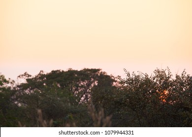 50,759 Tree line sunset background Images, Stock Photos & Vectors ...