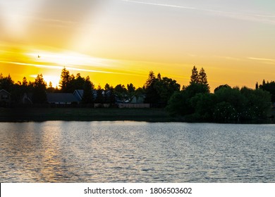 19 Yellow clovis Images, Stock Photos & Vectors | Shutterstock