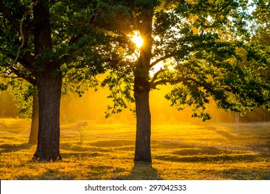 Sunset Evening Sun Rays Make Their Stock Photo 297042533 | Shutterstock