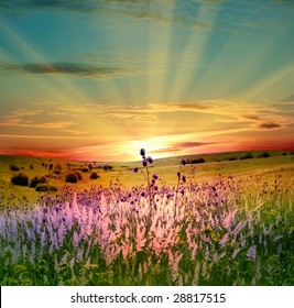 Sunset Field Stock Photo 28817515 | Shutterstock
