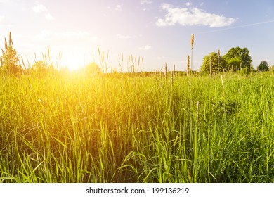1,526,123 Sunset grass Images, Stock Photos & Vectors | Shutterstock