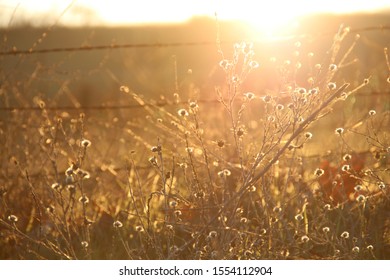 Stock Photo and Image Portfolio by Adrian.jpg | Shutterstock