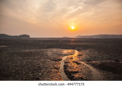Sunset Mud Flat Stock Photo 494777173 | Shutterstock