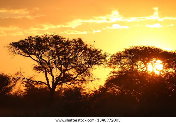 Sunset Namibia Stock Photo 1340972003 | Shutterstock
