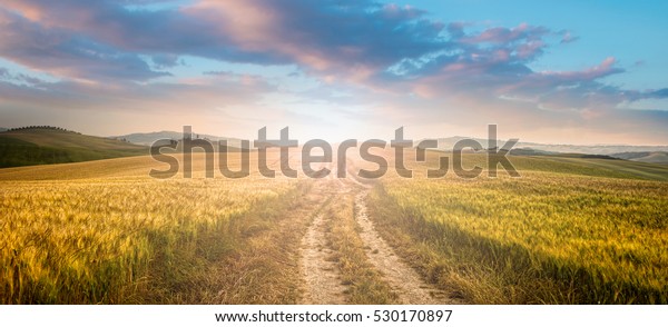 Sunset Over Dirt Road Stock Photo 530170897 | Shutterstock