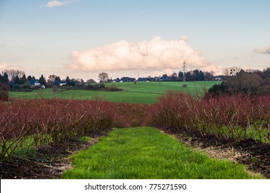137 North german plain Images, Stock Photos & Vectors | Shutterstock