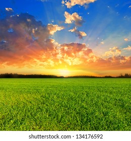 Sunset Over Green Fields Stock Photo (Edit Now) 134176592