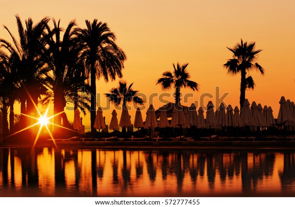 Sunset Palms Beach Resort Stock Photo 572777455 | Shutterstock
