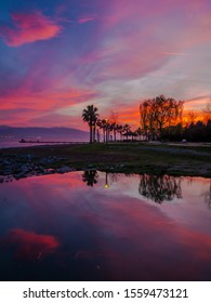 Sunset Reflection On Beach Stock Photo 1559473121 | Shutterstock