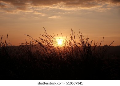 Sunset Shadow Stock Photo 510539341 | Shutterstock