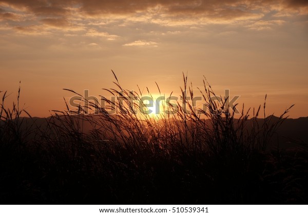 Sunset Shadow Stock Photo 510539341 | Shutterstock
