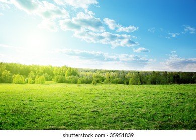 Sunset Spring Forest Stock Photo 35951839 | Shutterstock