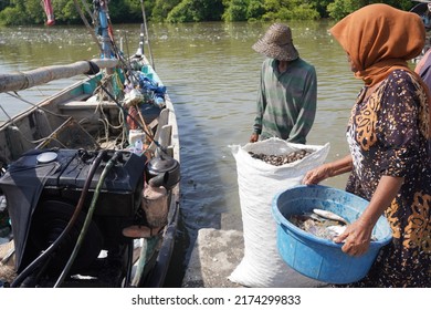 268 Hijab Fish Images, Stock Photos & Vectors | Shutterstock