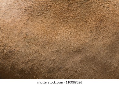 691 imágenes de Camel leather texture - Imágenes, fotos y vectores de ...