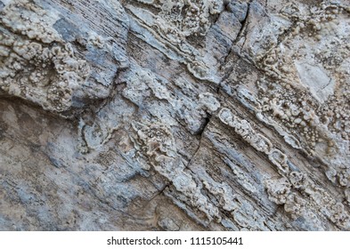 Surface Layer Rock Stock Photo 1115105441 | Shutterstock