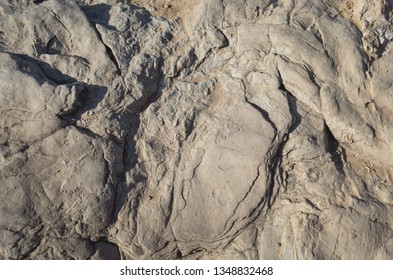 Surface Layer Rock Stock Photo 1348832468 | Shutterstock