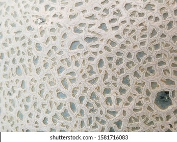 Surface Melon Texture Background Stock Photo 1581716083 | Shutterstock