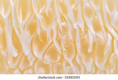 Surface Pomelo Texture Stock Photo 333003395 | Shutterstock