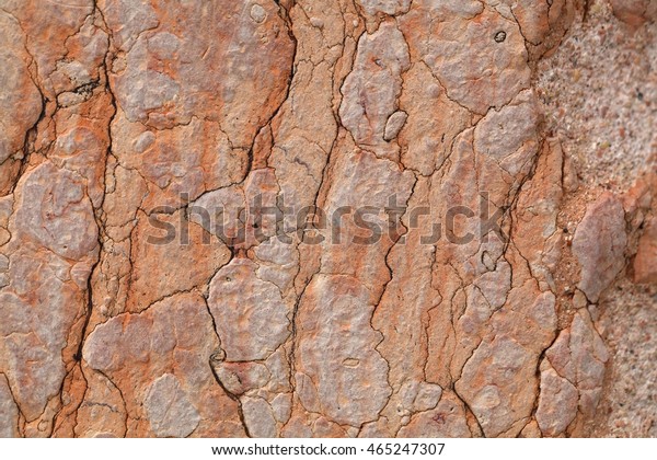 Surface Red Nodular Limestone Triassic Age Stock Photo 465247307 ...