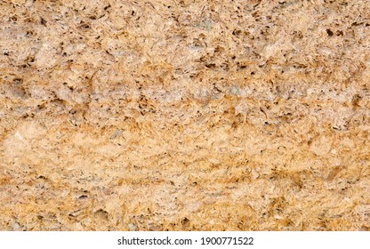14 Biogenic origin Images, Stock Photos & Vectors | Shutterstock