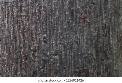 Surface Roughness Tree Stock Photo 1226911426 | Shutterstock