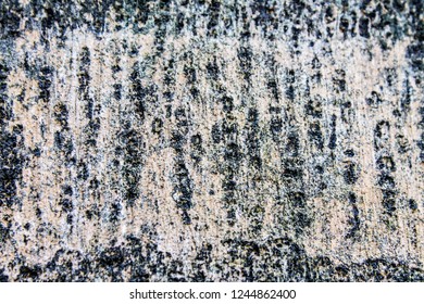 Surface Roughness Tree Stock Photo 1244862400 | Shutterstock
