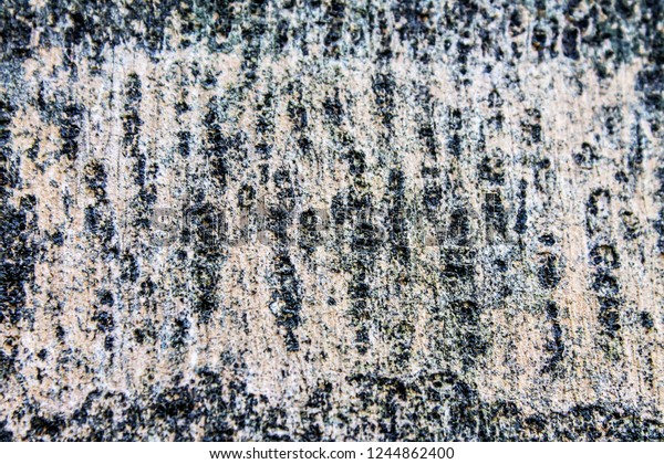 Surface Roughness Tree Stock Photo (Edit Now) 1244862400