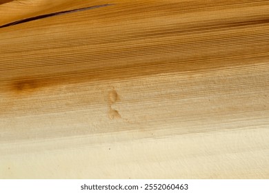 Color de arena - Combinaciones, Código HEX - Shutterstock