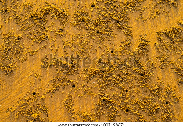 Surface Various Types Sand Stock Photo 1007198671 | Shutterstock