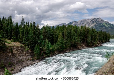 Rushing River Flows Through Thick Pine Stock Photo 63474775 | Shutterstock
