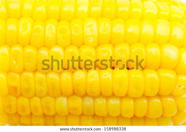 Sweet Corn Background Stock Photo 158988338 | Shutterstock