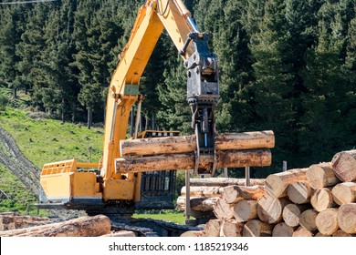 576 Logs digger Images, Stock Photos & Vectors | Shutterstock