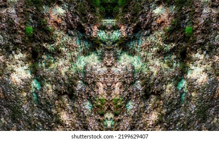 116,083 Symmetric Natural Shapes Images, Stock Photos & Vectors ...