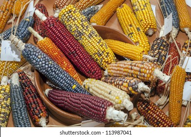 58,543 Colored maize Images, Stock Photos & Vectors | Shutterstock