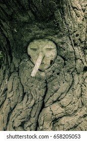 Talking Tree Face Stock Photo 658205053 | Shutterstock
