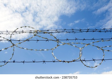 Tangle Barb Wire Rusty Barbed Fence Stock Photo 238735753 | Shutterstock