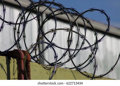 Tangle Barbed Wire Stock Photo 622713434 | Shutterstock