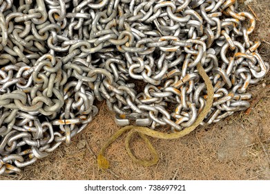 Tangled Chains Chained Stock Photo 738697921 | Shutterstock