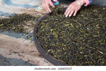 Tea Leaf Production Process Stock Photo 618455537 | Shutterstock