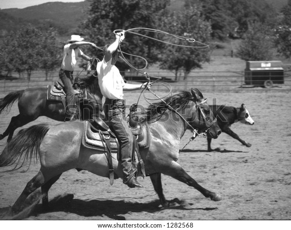 Team Roping Stock Photo 1282568 | Shutterstock